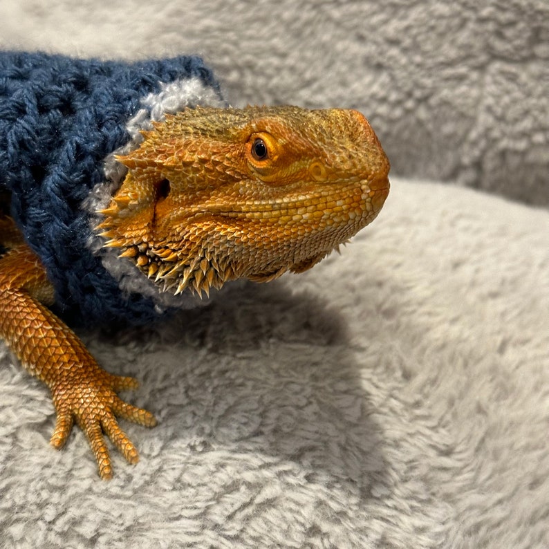 Bearded Dragon Wraparound Sweater Crochet Pattern - Etsy