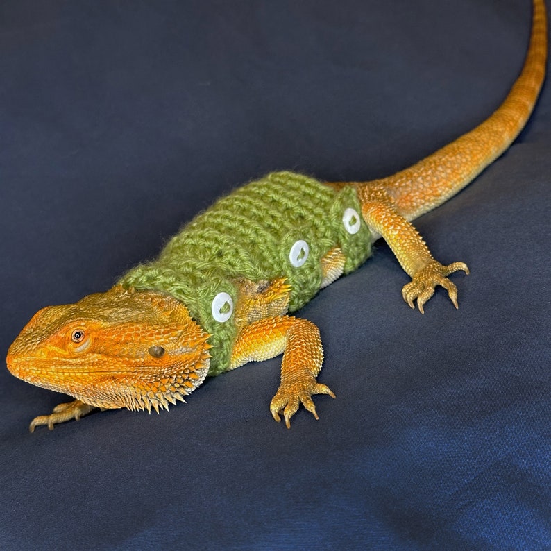 Bearded Dragon Sweater With Buttons Crochet Pattern - Etsy