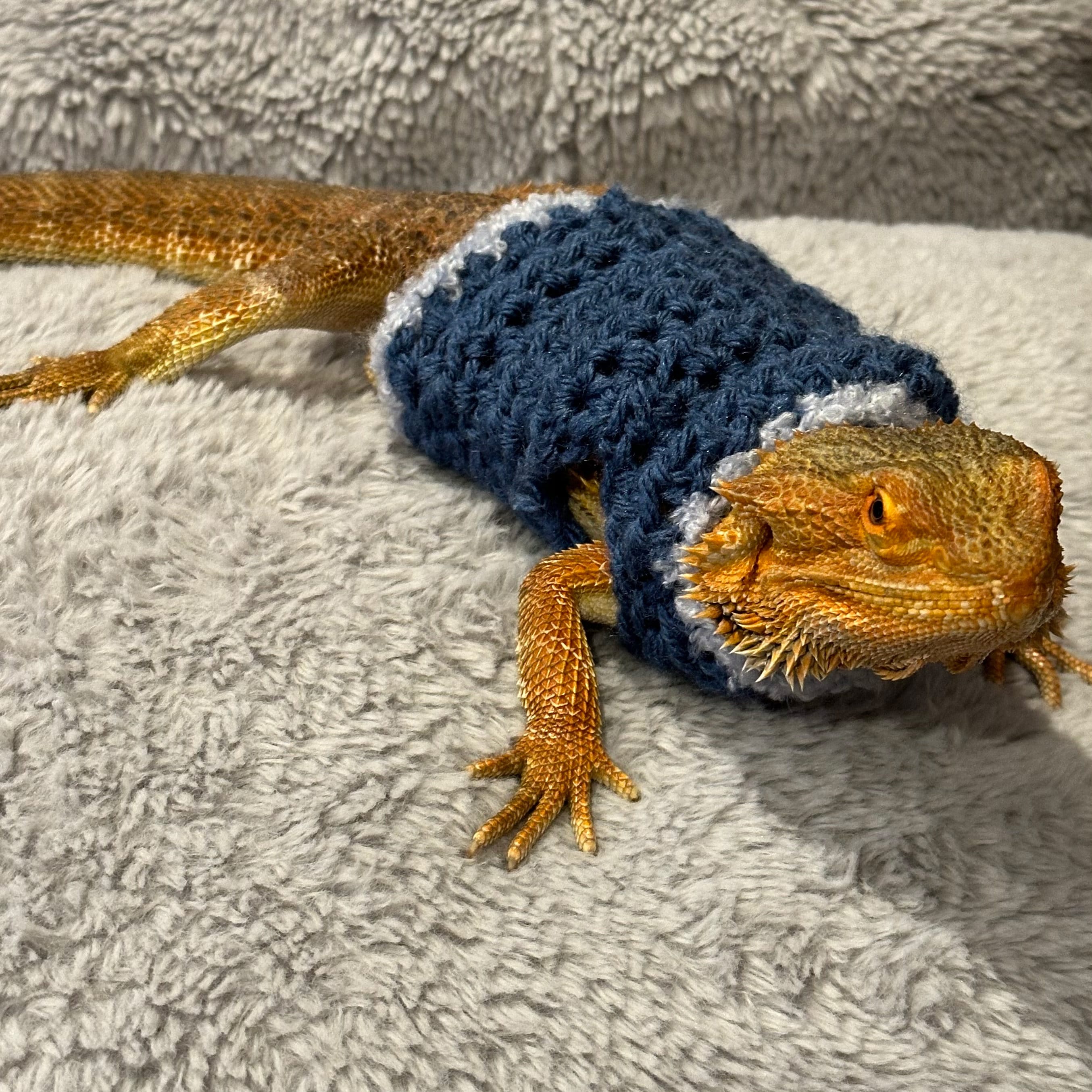 Bearded Dragon Wraparound Sweater Crochet Pattern - Etsy