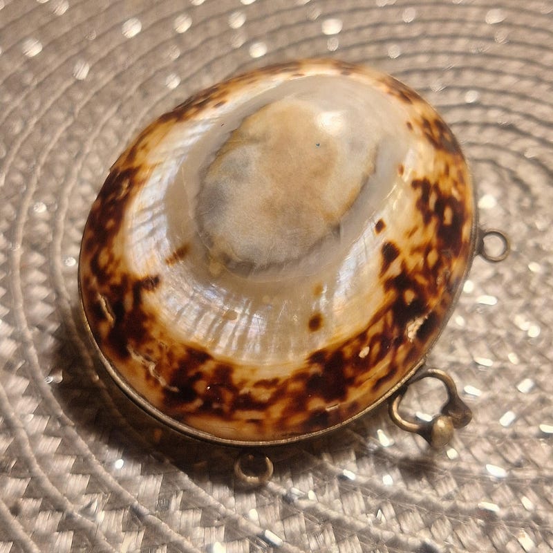 Antique Shell Purse - Etsy