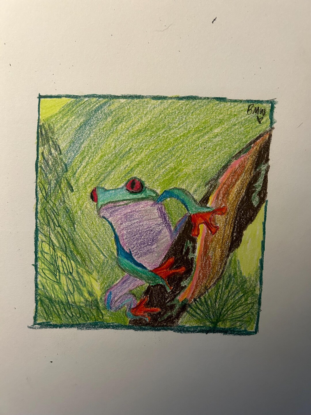 Frog Colored Pencil Drawing - Etsy