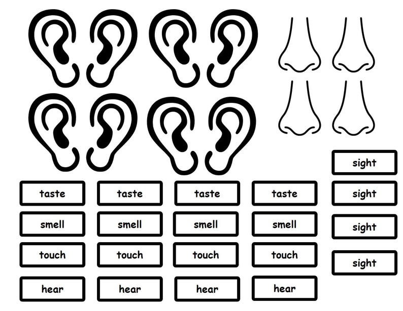 Five Senses Digital Download - Etsy