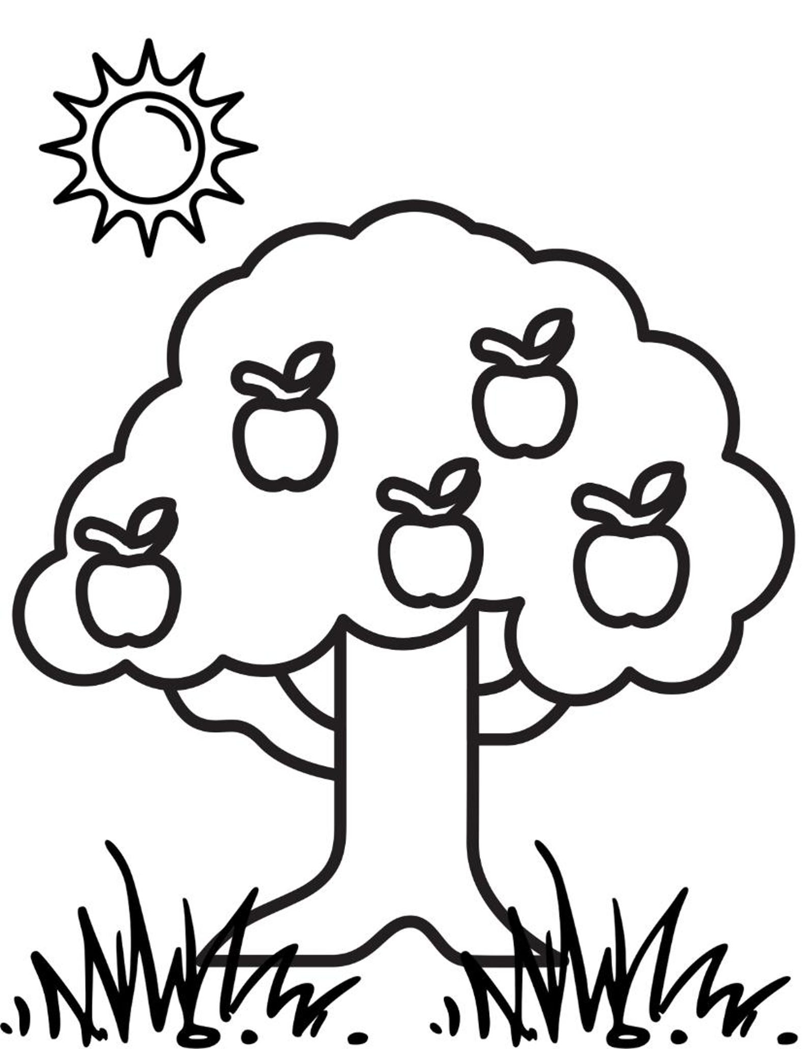 Fall Digital Coloring Book - Etsy