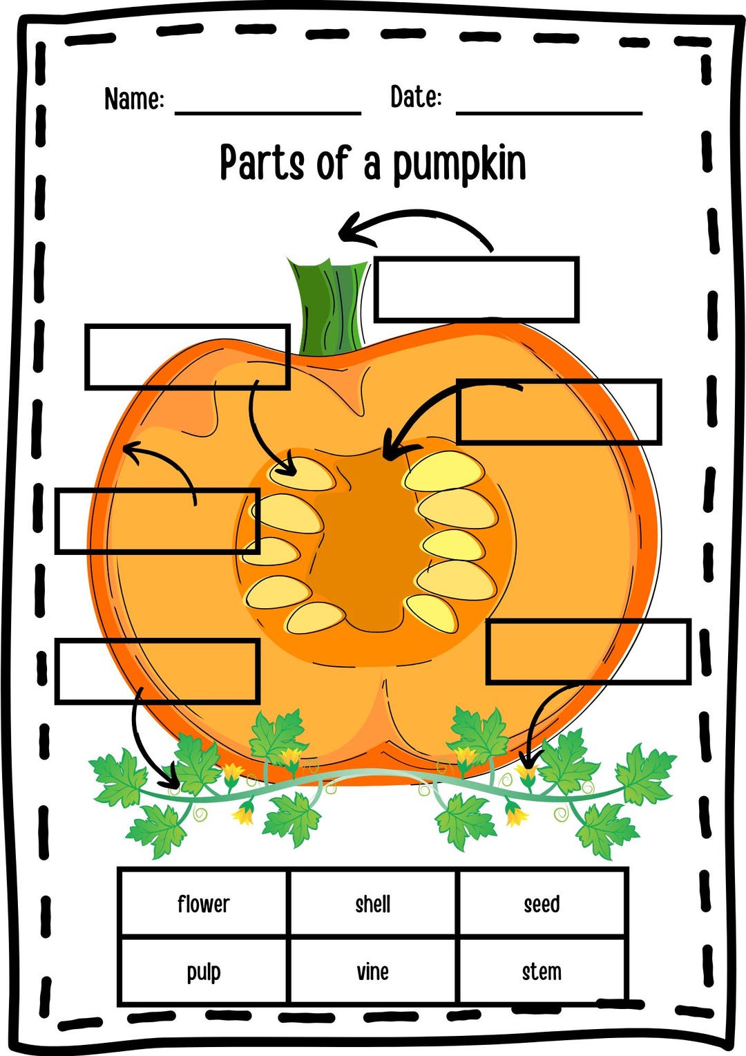 Label the Pumpkin and Pumpkin Life Cycle - Etsy