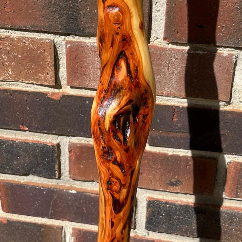 Diamond Willow Walking Stick - Etsy