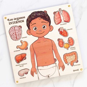 Educational Game of Human Organs. Learn the Functioning of the Internal ...
