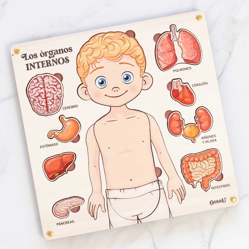Educational Game of Human Organs. Learn the Functioning of the Internal ...