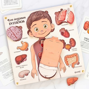 Educational Game of Human Organs. Learn the Functioning of the Internal ...