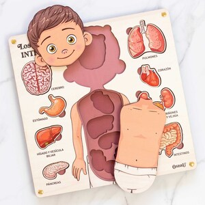 Educational Game of Human Organs. Learn the Functioning of the Internal ...