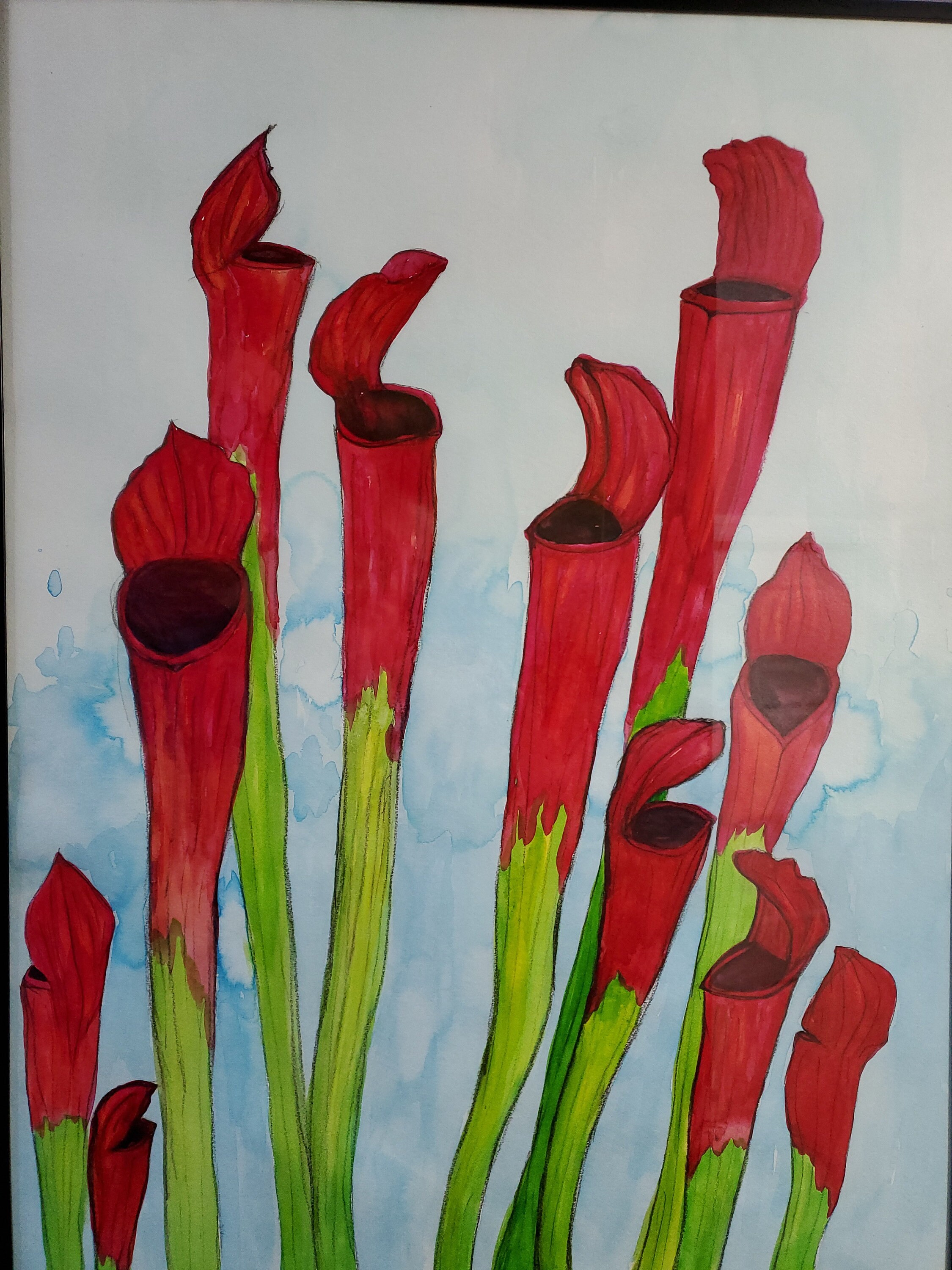 Large Carnivorous Pitcher Plant India Ink Painting - Original - Etsy