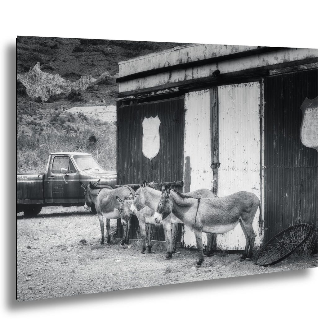 Oatman Burros on Route 66 - Vintage Arizona Photo Art Print - Etsy
