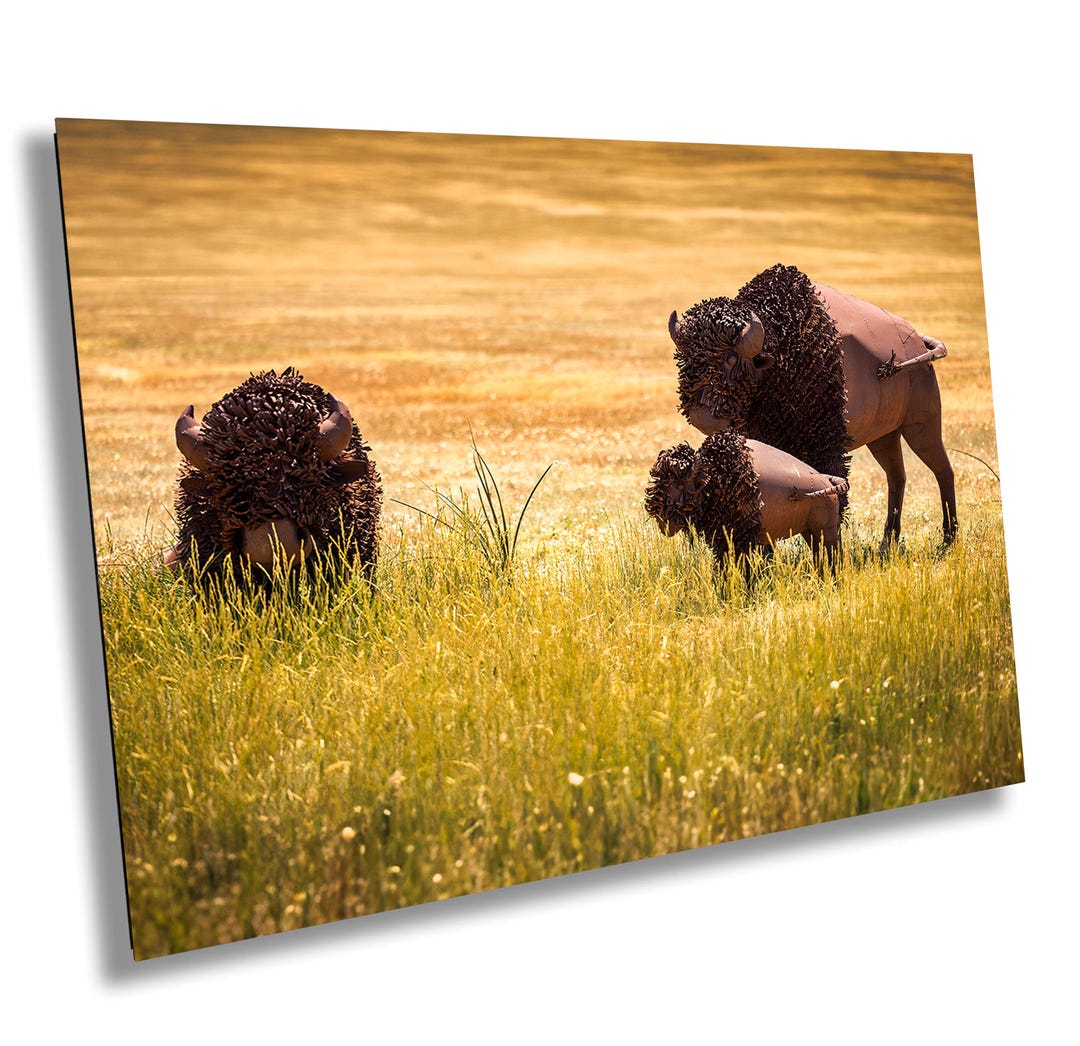 Route 66 Metal Bison Sculpture: Fine Art Landscape Photography Print ...