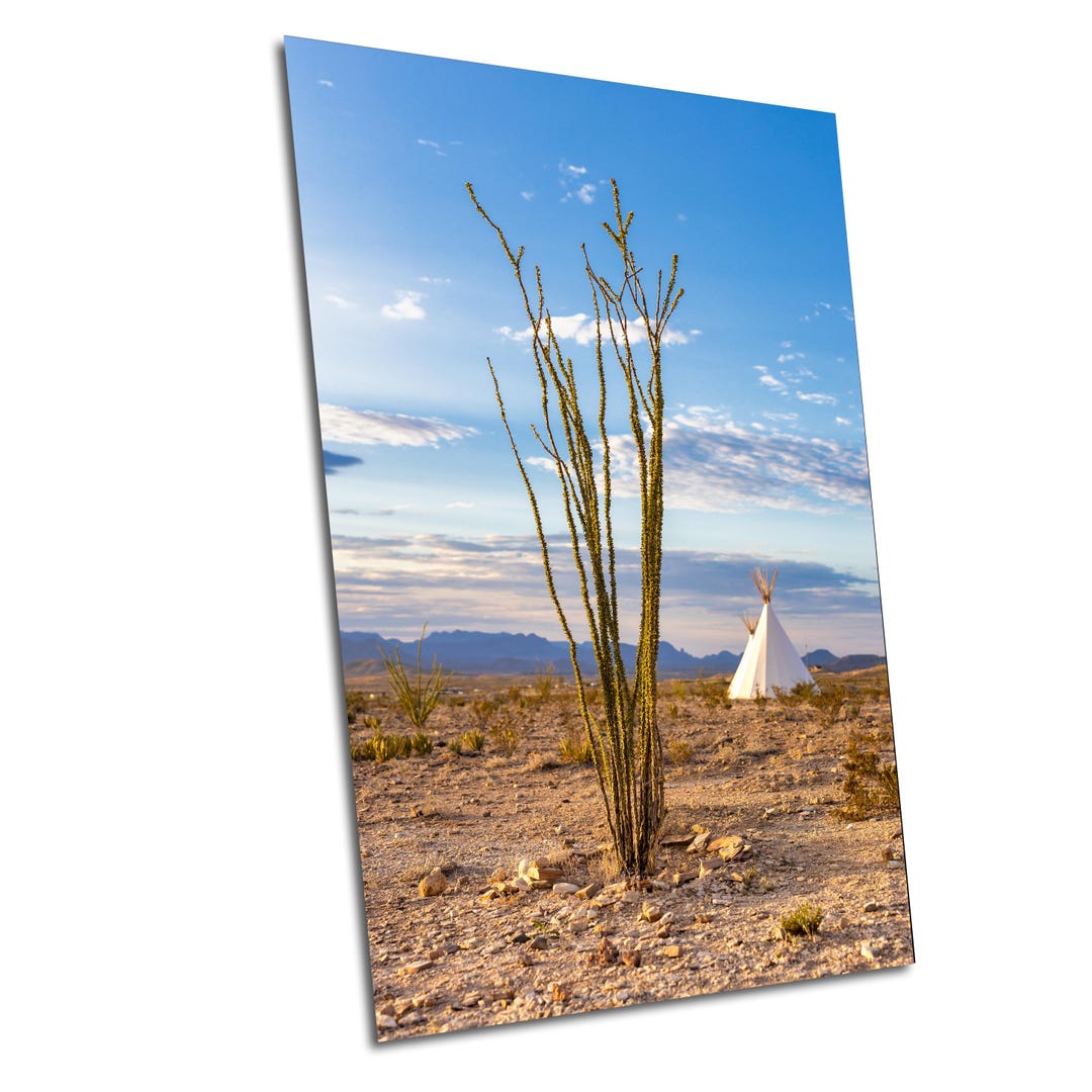 Terlingua Texas Ocotillo Tipi Print - Desert Landscape Photography Wall ...