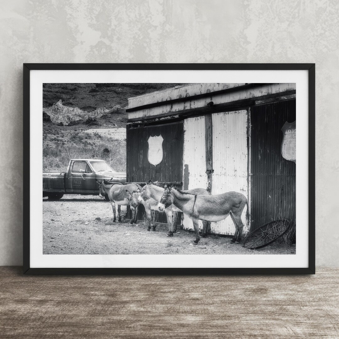 Oatman Burros on Route 66 Photo Decor - Vintage Arizona Donkey Wall Art ...