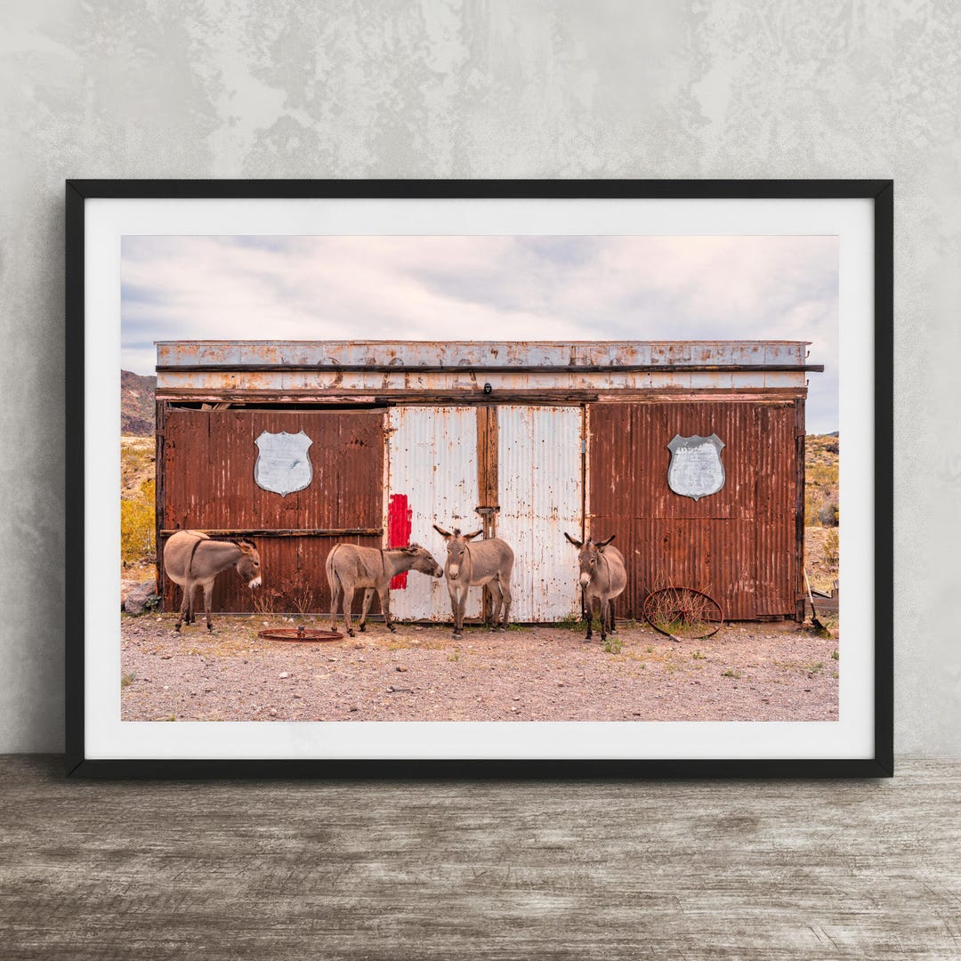 Donkey Wall Art Oatman Burros Route 66 Photo Print: Americana Arizona ...