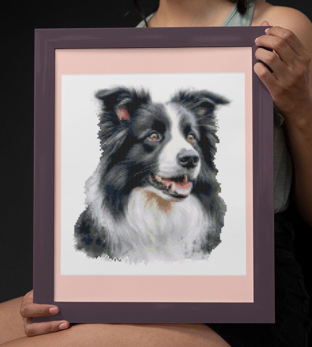 Border Collie - Beautiful Cross Stitch Printed Paper Pattern Posted to ...
