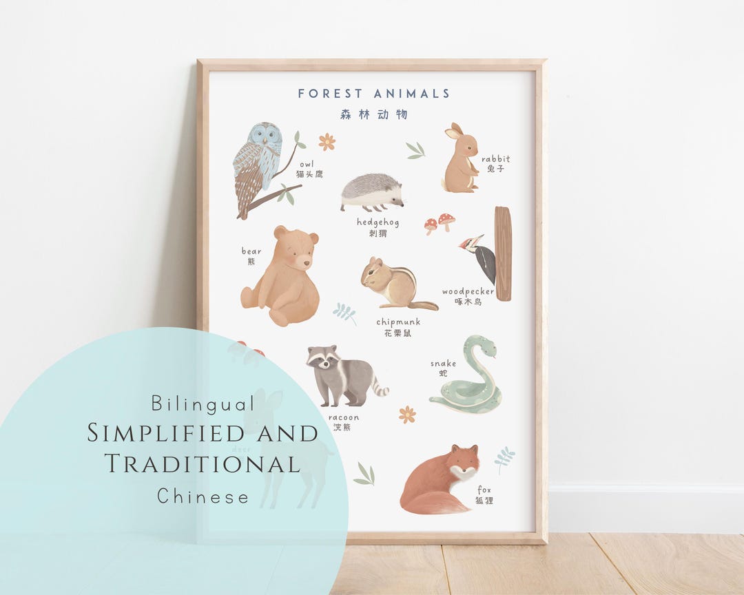 Bilingual Forest Animals Poster, Chinese Learning Decor (digital ...