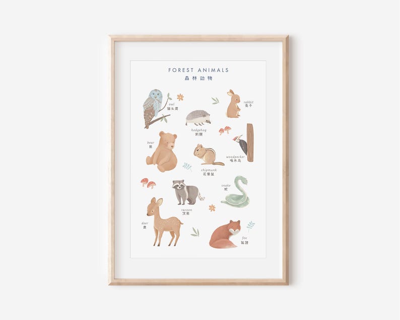 Bilingual Forest Animals Poster, Chinese Learning Decor (digital ...