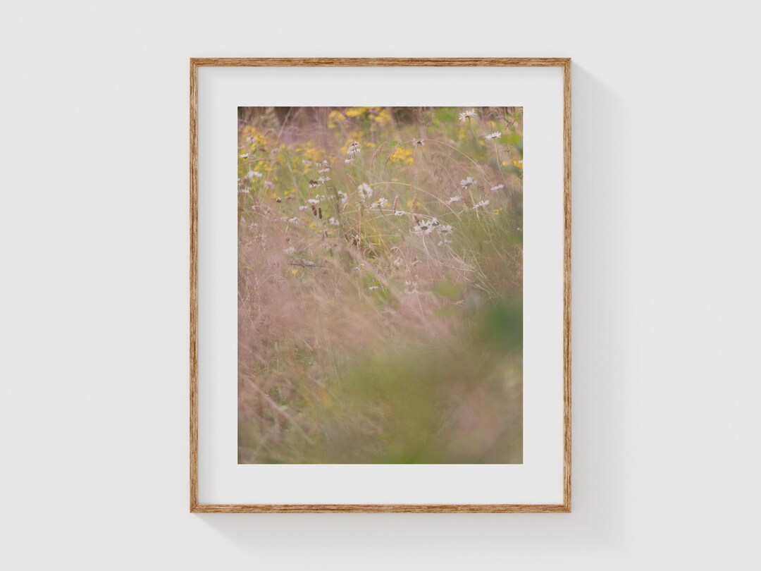 Wildflower Field Wall Art, Cottagecore Meadow Photography, Summer ...