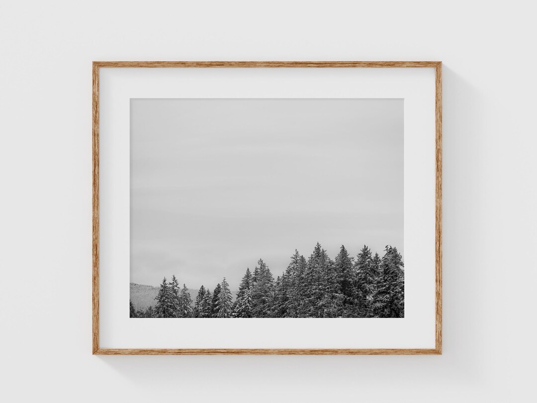 Snowy Forest Treeline, Vancouver Winter Wall Art, Black and White ...