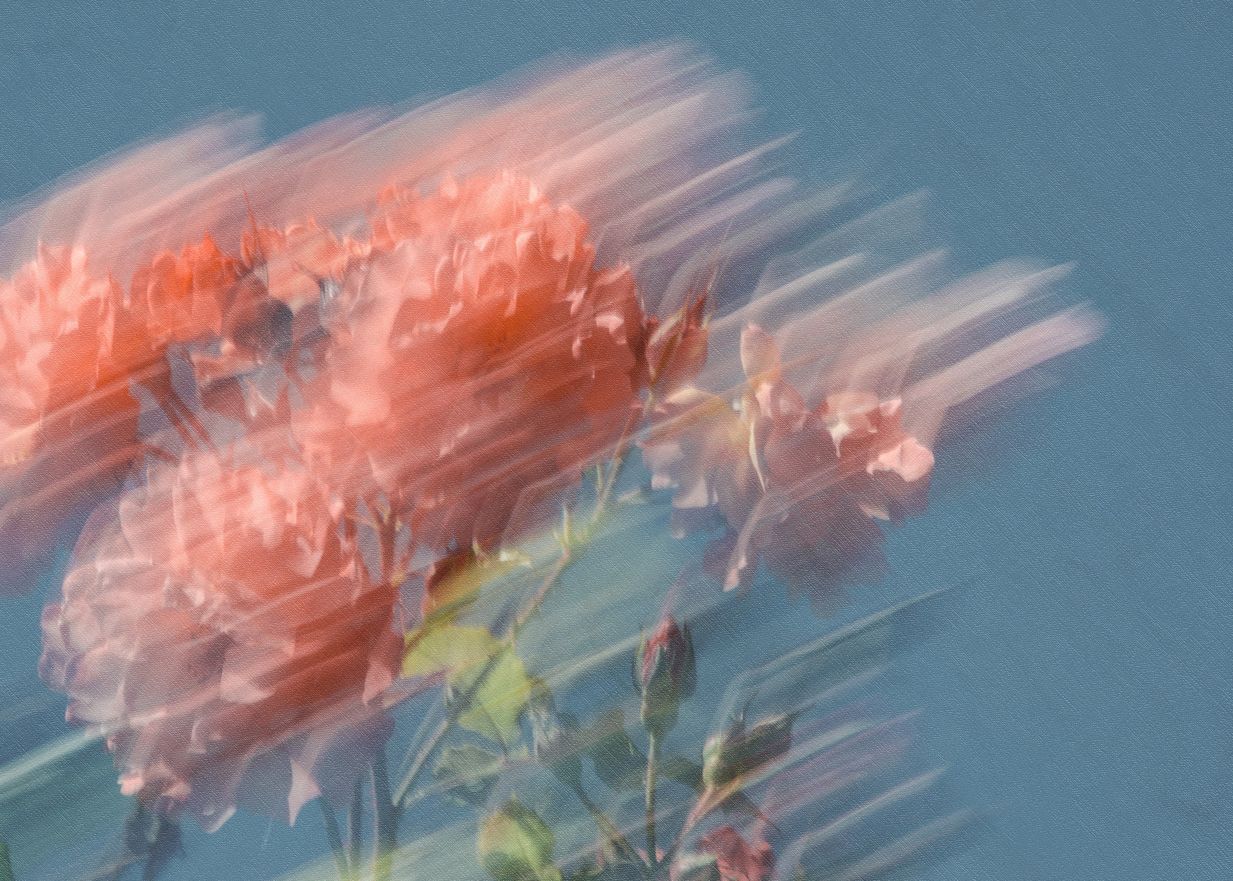 Abstract Floral Fine Art Photography Print Dreamy Blurred Flower Art ...