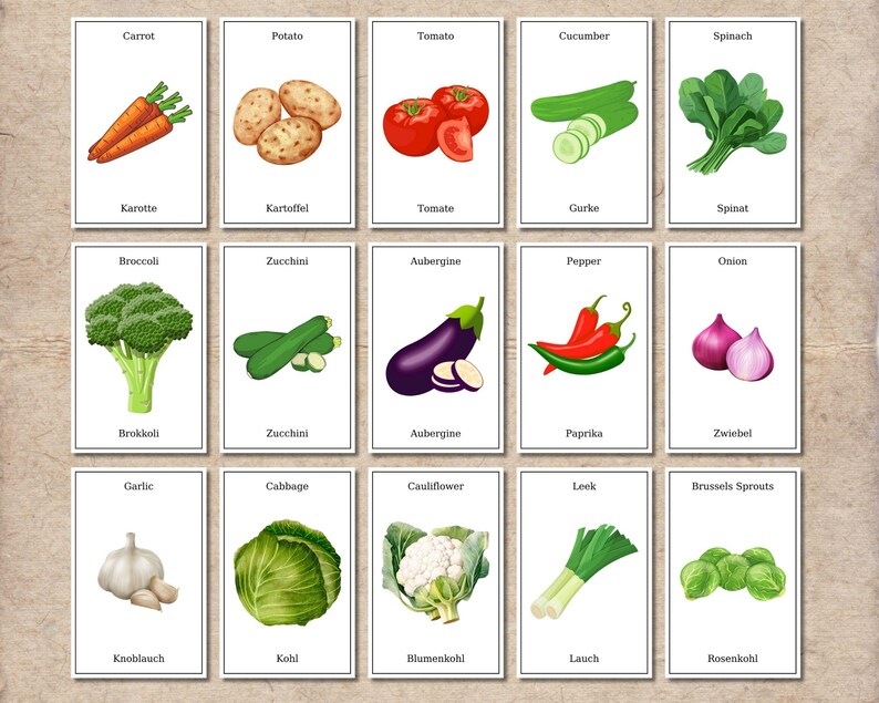 120 Printable Flashcard - GERMAN & ENGLISH Educational Card - Animal ...