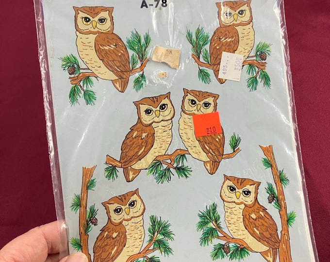 Owl Water Slide Decals Regal - Etsy