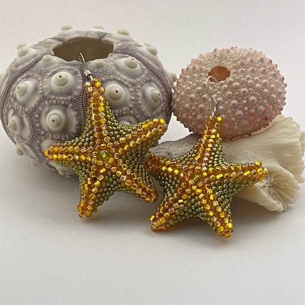Starfish Earrings - Etsy