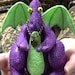Drago - Cloth Doll E-pattern Cute Little Dragon Doll Sewing Pattern - Etsy