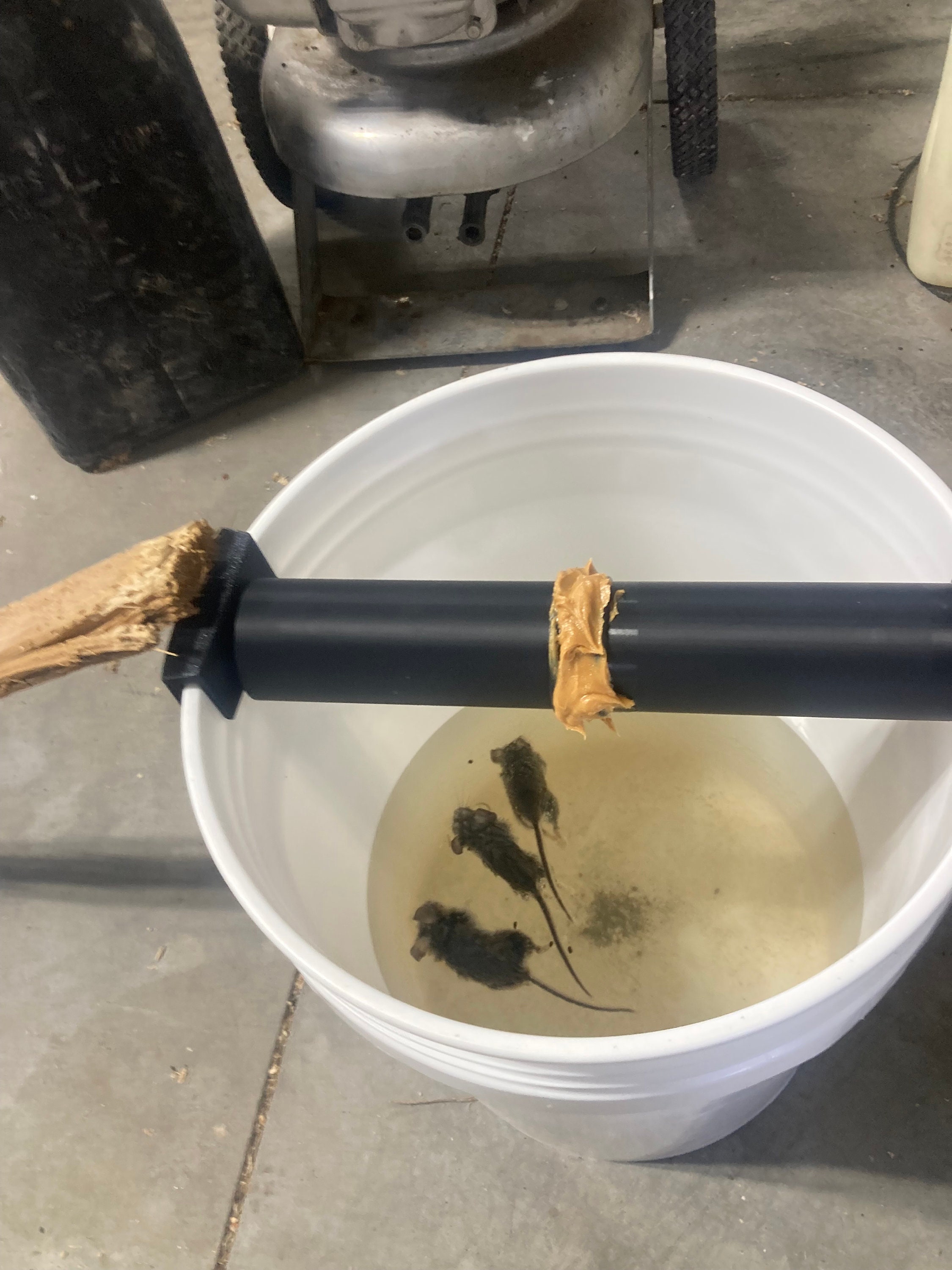 The Over Engineered Combo Mouse Trap & Ramp - Etsy