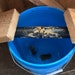 The Over Engineered Combo Mouse Trap & Ramp - Etsy