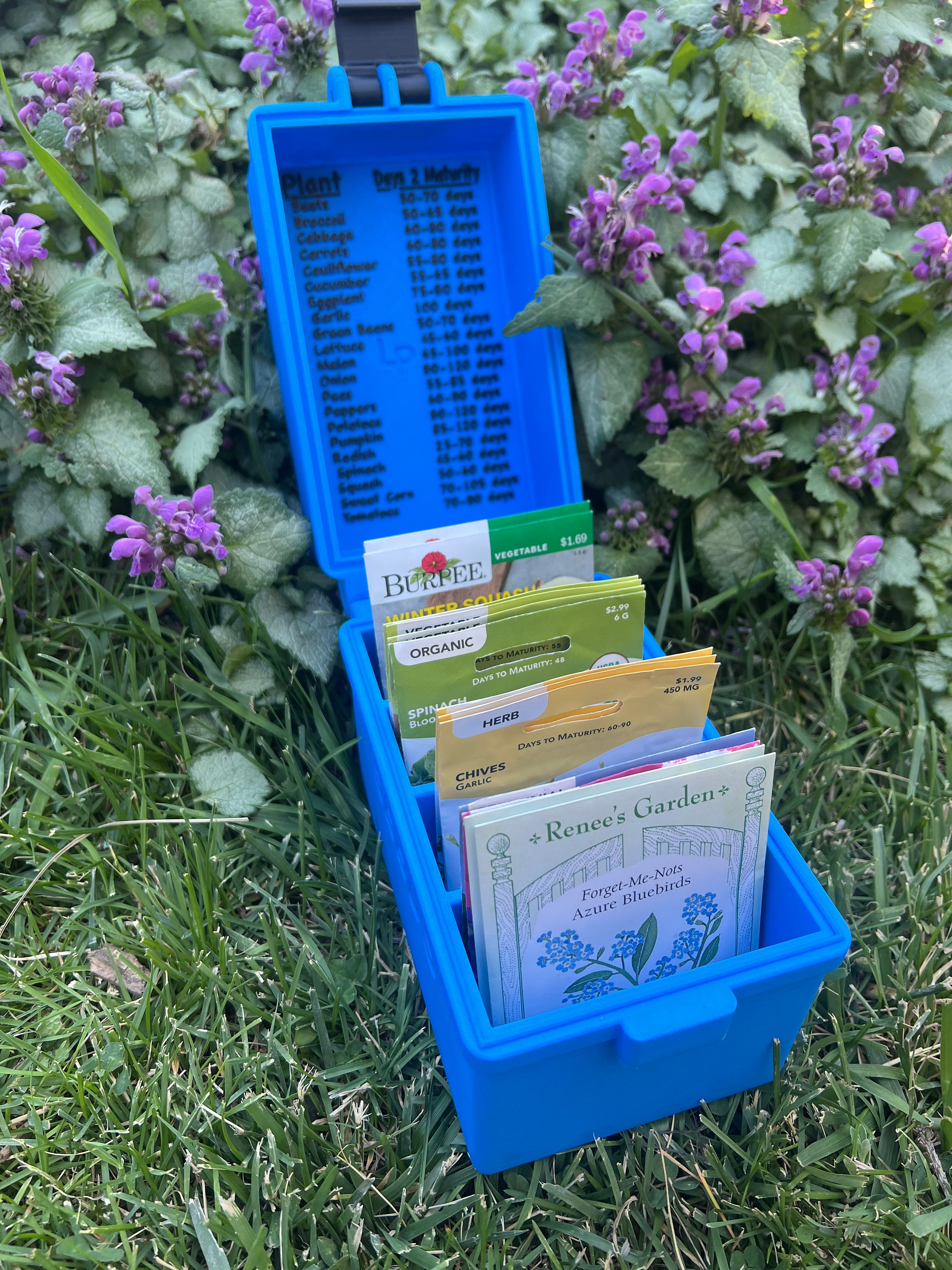 Seed Organizer - Etsy