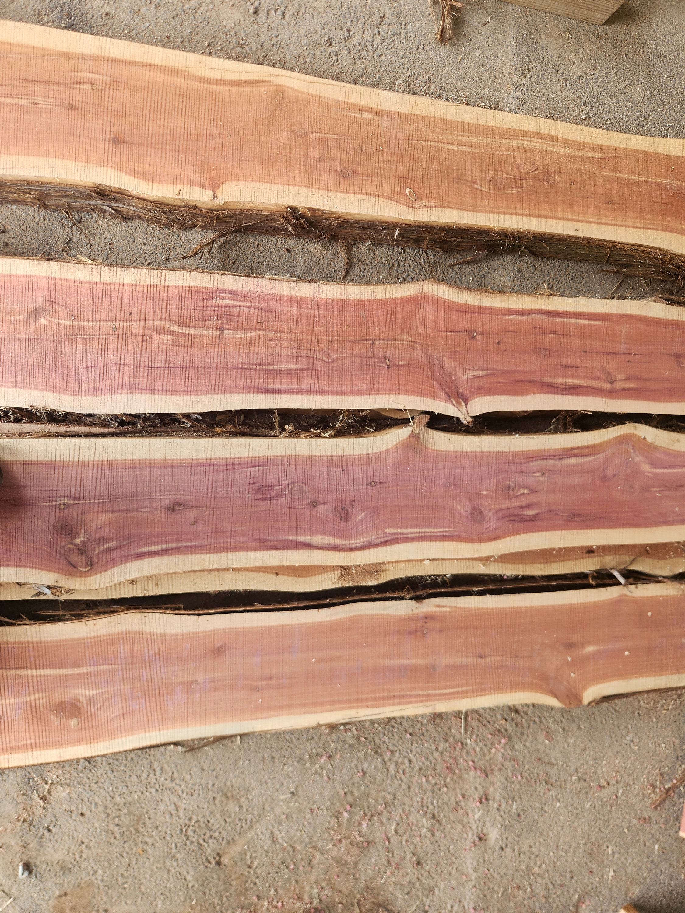 Cedar Slabs - Etsy