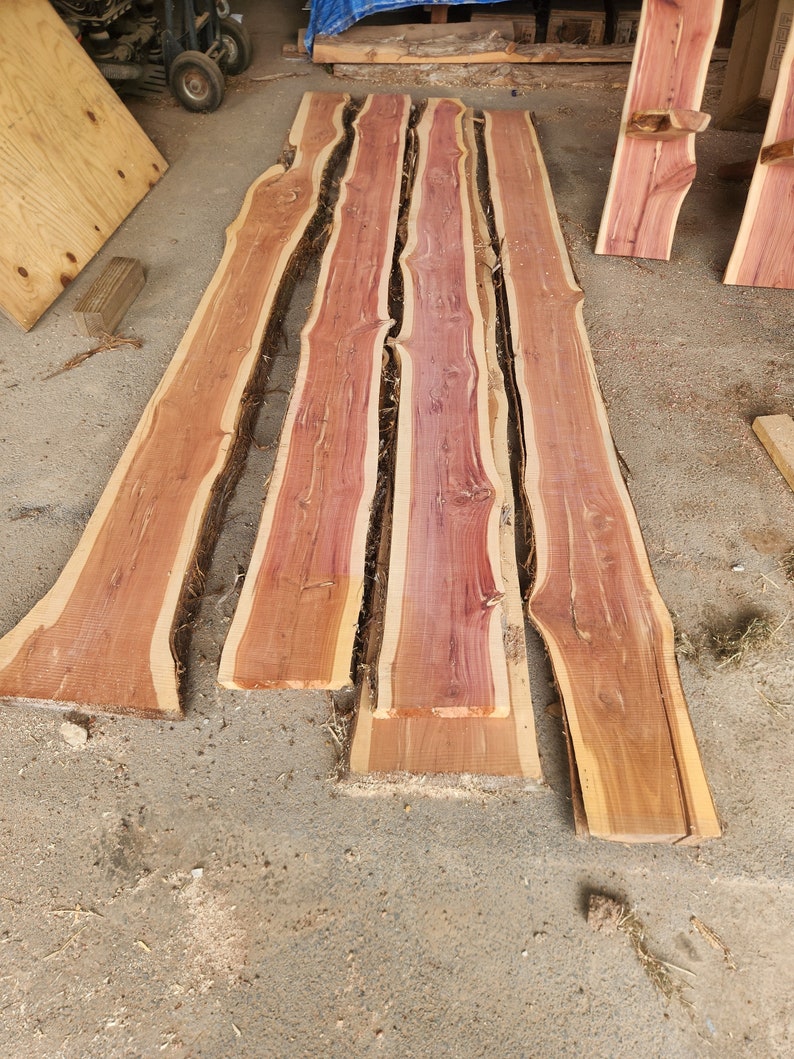 Cedar Slabs - Etsy