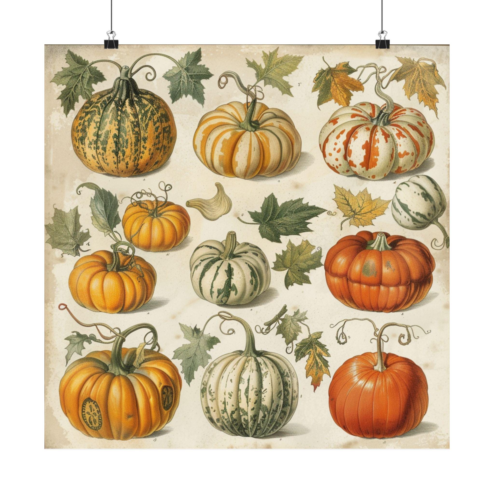 Botanical Pumpkin Print: Vintage-style, Vibrant Fall Colors. Perfect ...