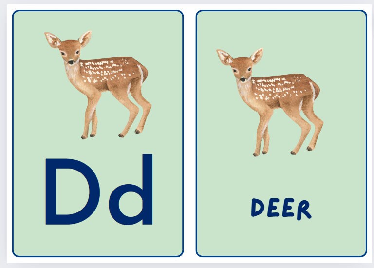 Digital Alphabet Flash Cards Set, Preschool Learning Printable, Instant ...