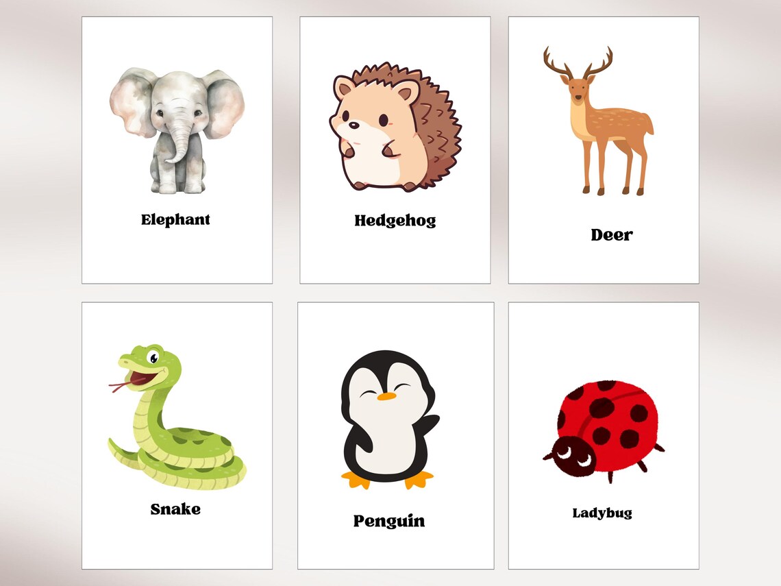 Cute Animal-themed Flash Cards for Kids Educational Digital Cards With ...