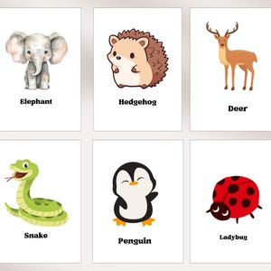 Cute Animal-themed Flash Cards for Kids Educational Digital Cards With ...