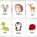 Cute Animal-themed Flash Cards for Kids Educational Digital Cards With ...