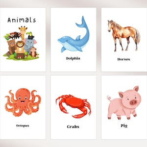 Cute Animal-themed Flash Cards for Kids Educational Digital Cards With ...