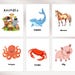 Cute Animal-themed Flash Cards for Kids Educational Digital Cards With ...