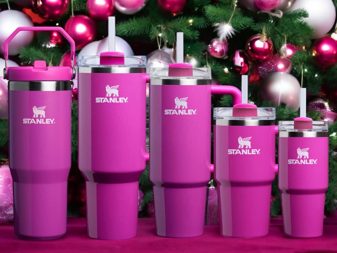 Stanley Winter Wonderland - Personalized Laser Engraved 40oz, 30oz ...