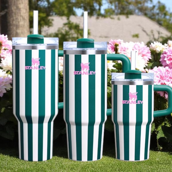 Green Stripe Stanley Cup - Etsy