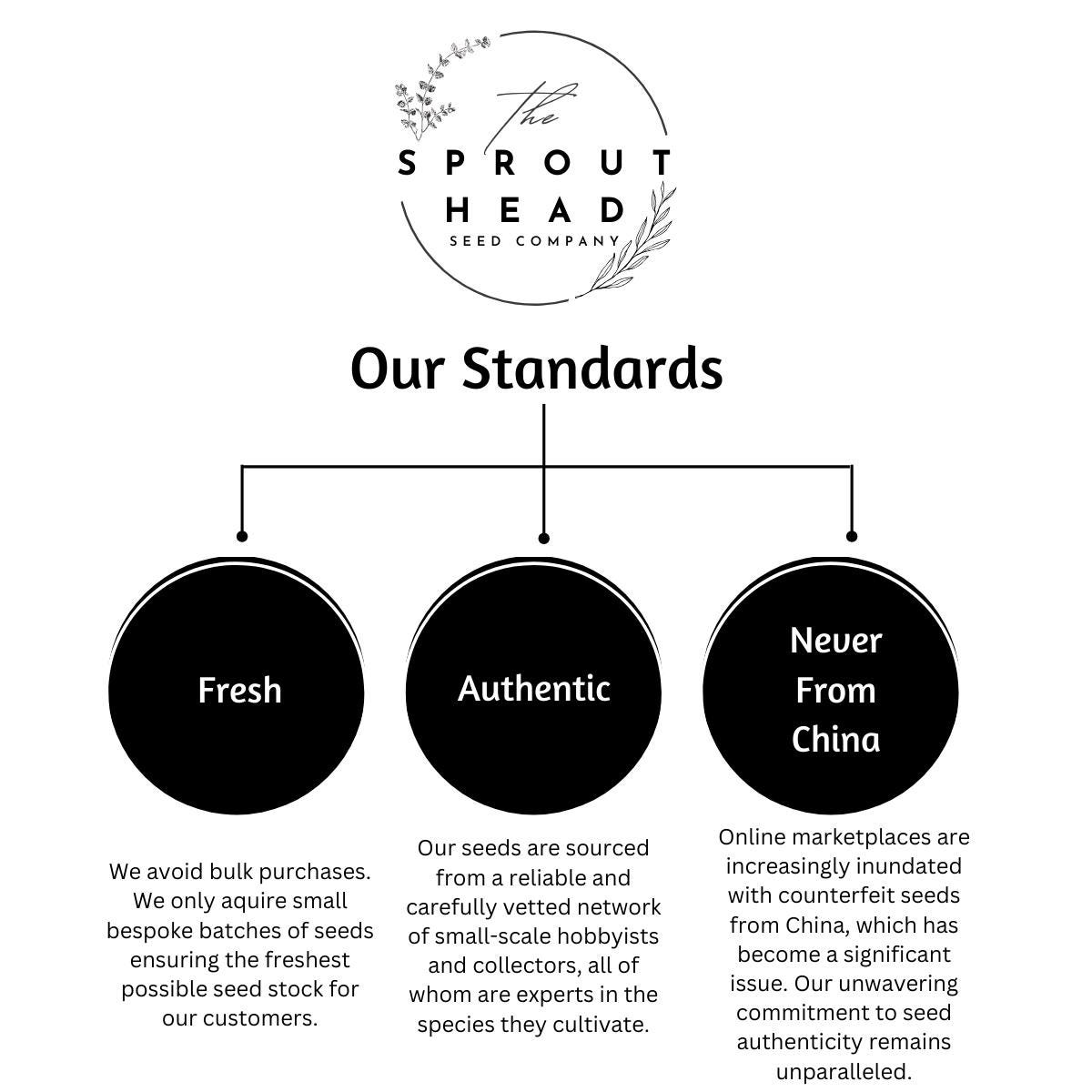 Mexican Hat - Prairie Coneflower - Ratibida Columnifera - Rare 'plant ...