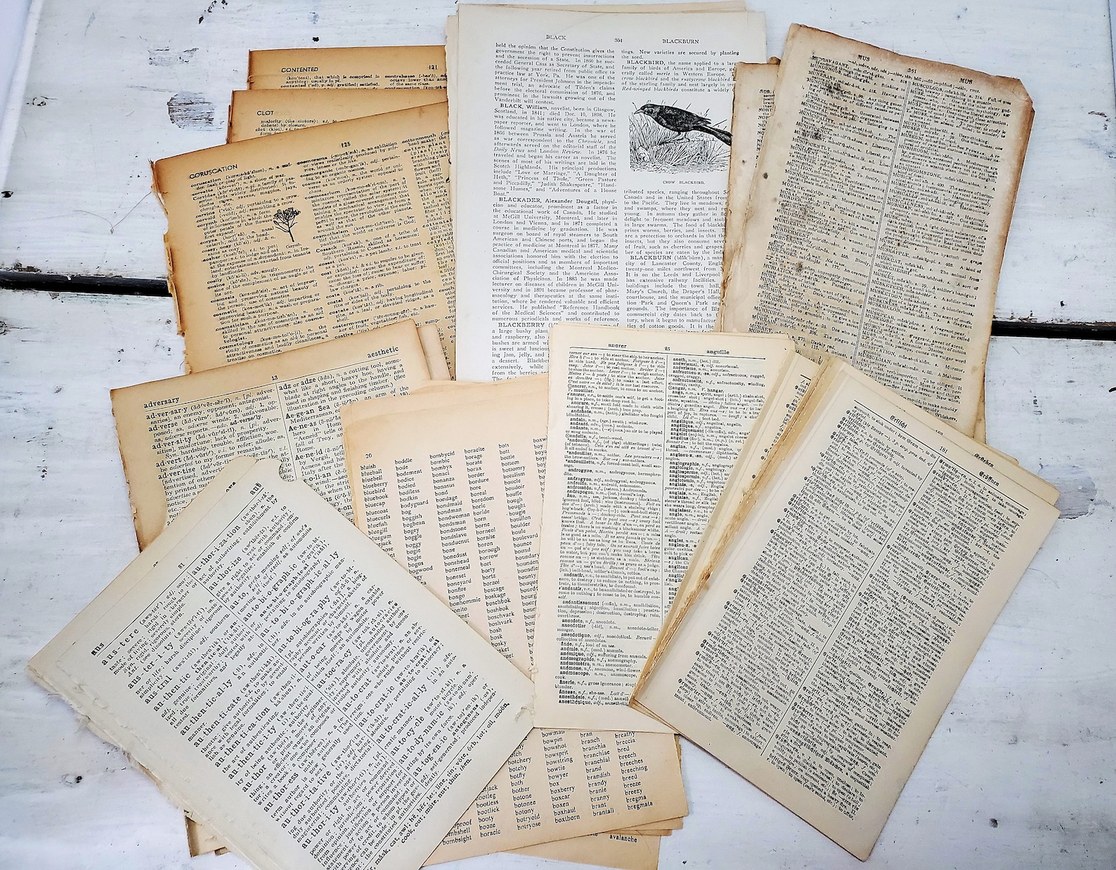 Vintage paper pack 50 vintage antique dictionary pages | Etsy