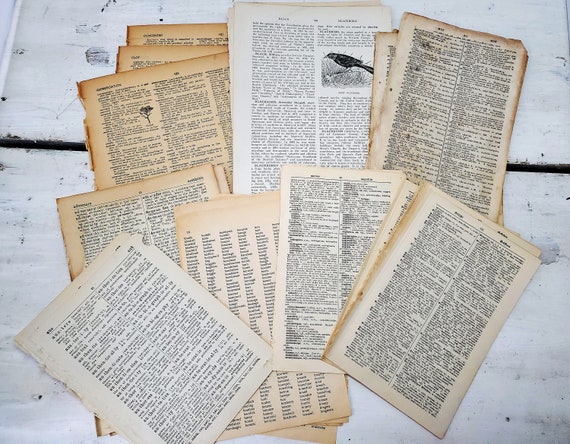 Vintage paper pack 50 vintage antique dictionary pages | Etsy