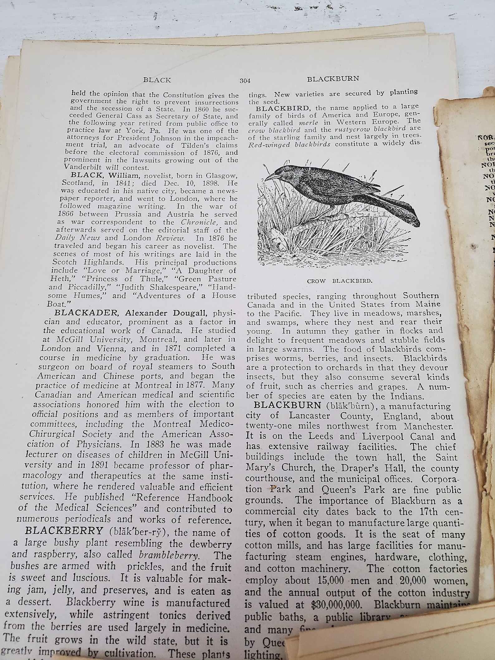 Vintage paper pack 50 vintage antique dictionary pages | Etsy
