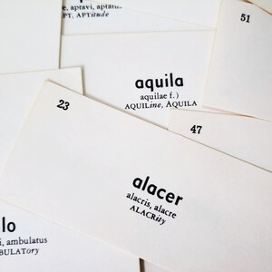 30 Vintage Latin Flash Cards, Latin to English Vocabulary Card , Vis-ed ...