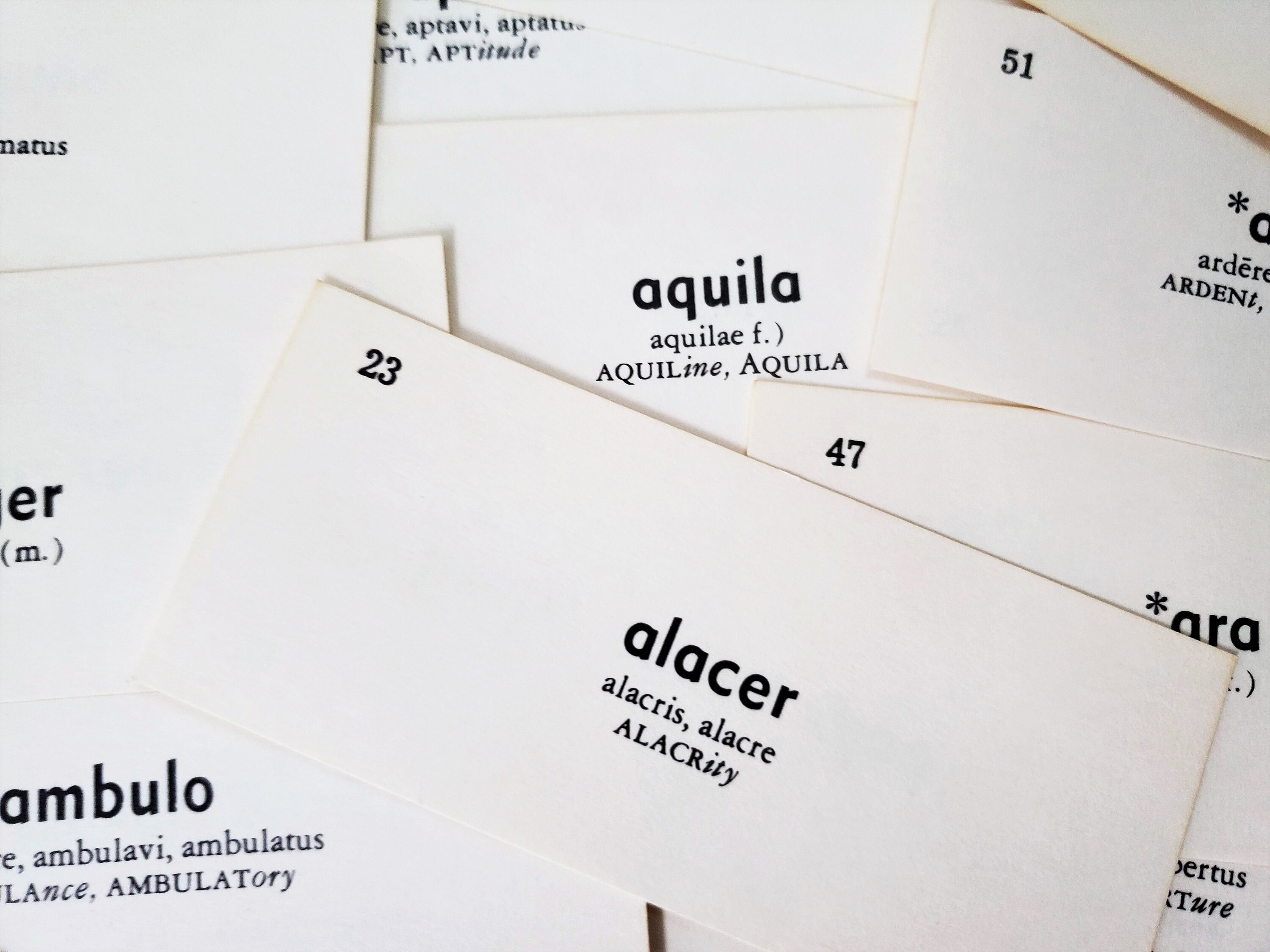 30 Vintage Latin Flash Cards Latin to English Vocabulary Card | Etsy