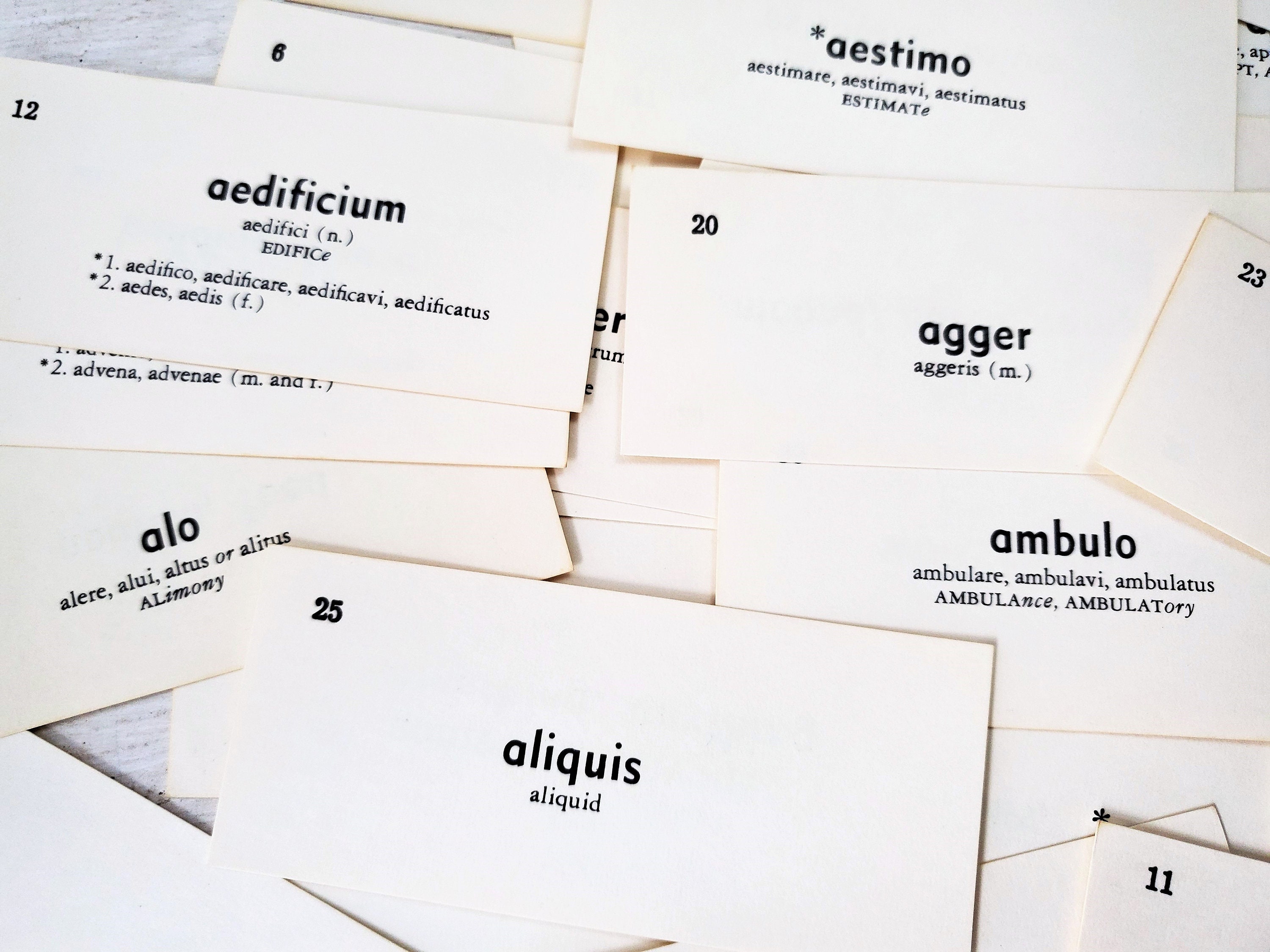 30 Vintage Latin Flash Cards Latin to English Vocabulary Card | Etsy